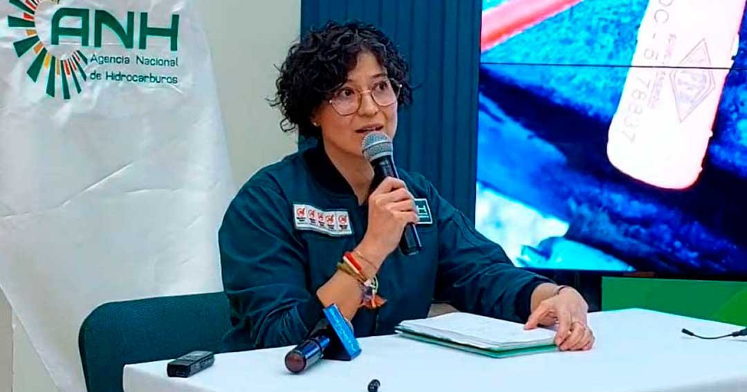 Renuncia la directora de la ANH por gasolina de mala calidad y ...